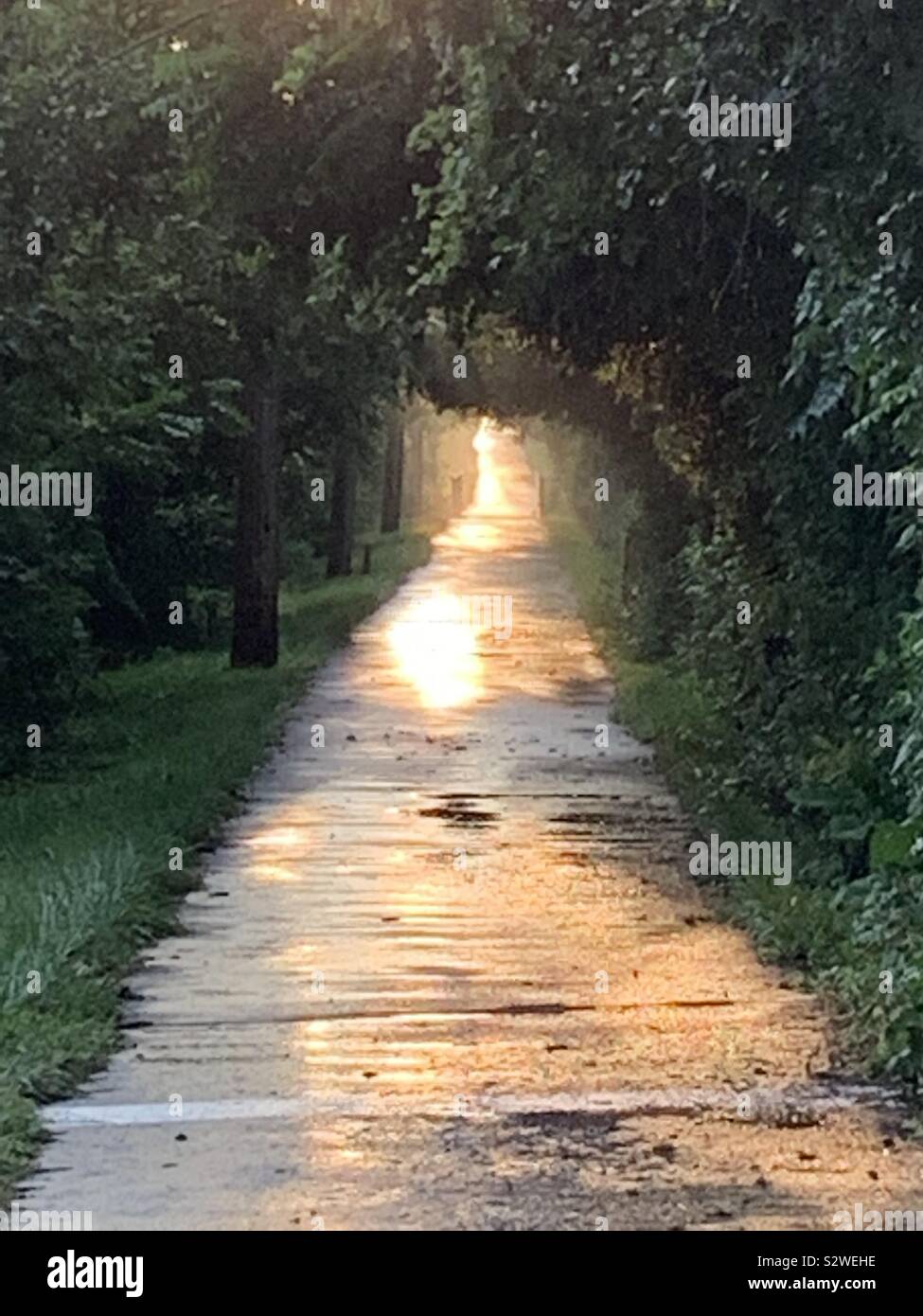 Walkway to heaven ..... this walkway is Illuminated by the sun setting ...