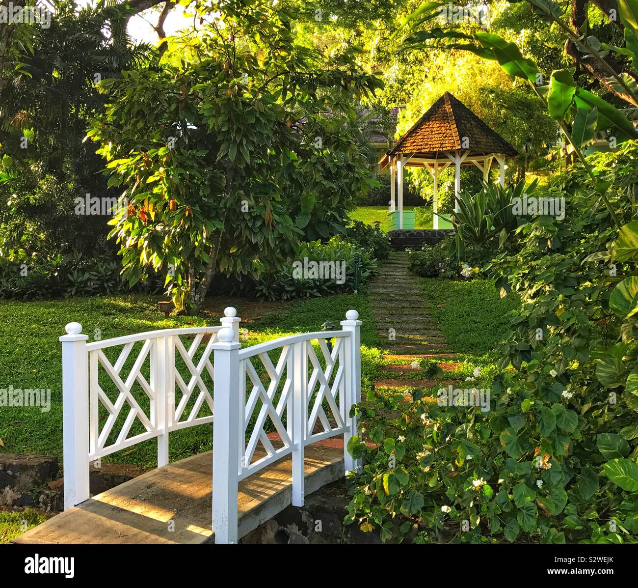 Small White Footbridge Leading to a Gazebo in a Tropical Garden At East ...