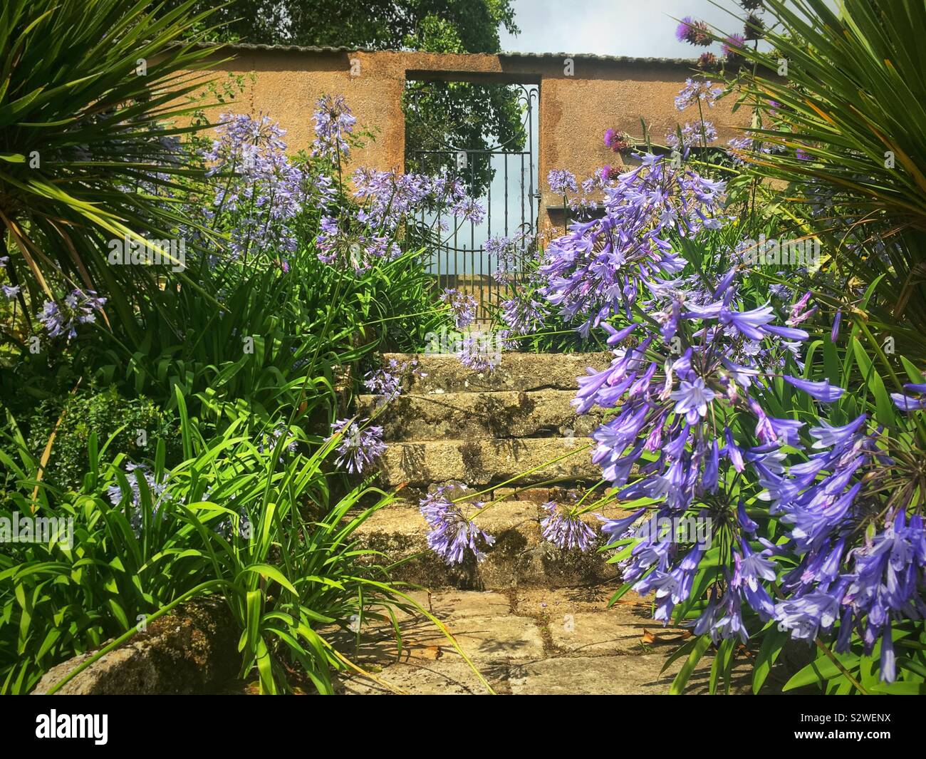Garden steps hi-res stock photography and images - Alamy