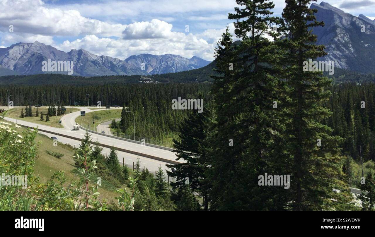 Juniper hotel banff national park hi-res stock photography and images ...