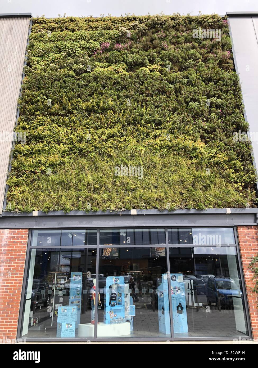Living green wall on exterior of a department store in York, England ...