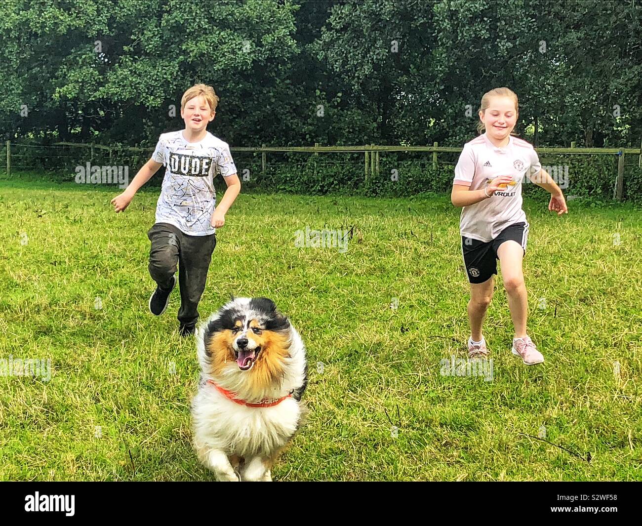 Children playing dog hi-res stock photography and images - Alamy