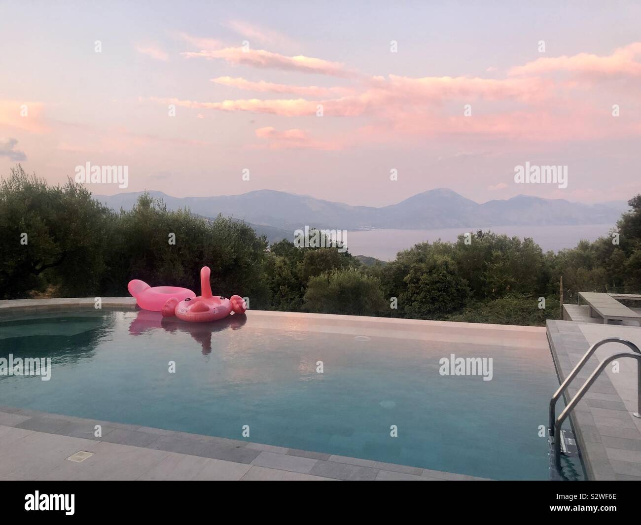 Pink flamingo at sunset hi-res stock photography and images - Alamy