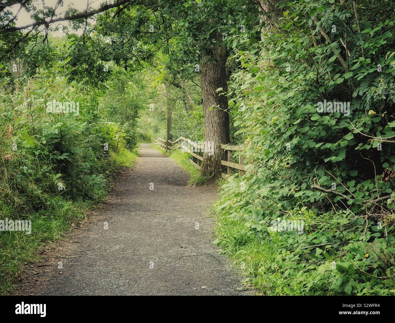 Walk pathways hi-res stock photography and images - Alamy