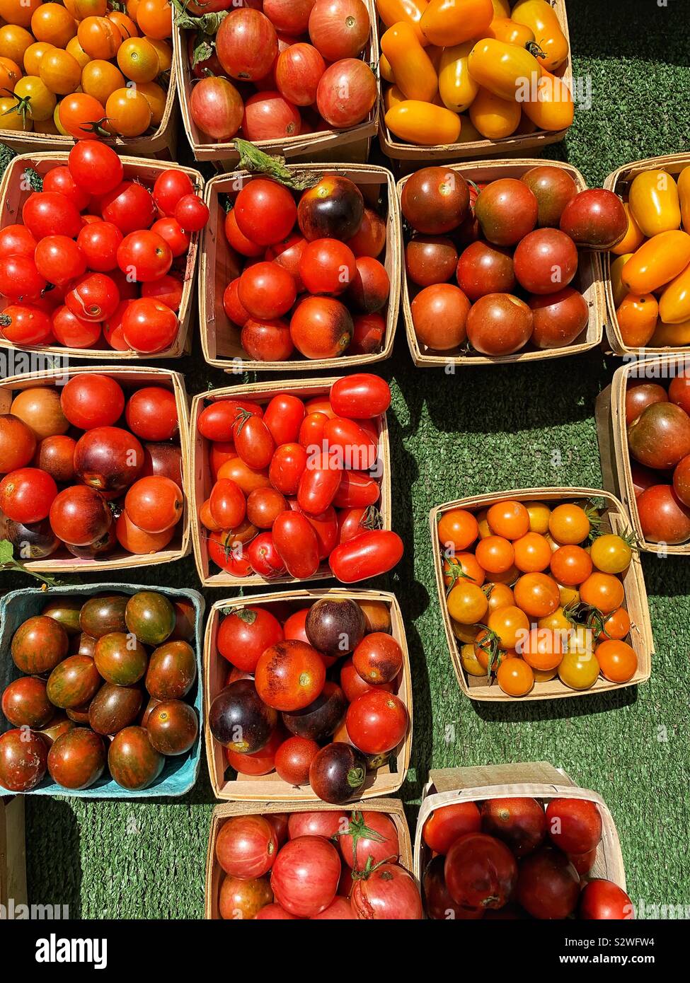 Variety of beautiful tasty summer tomatoes Stock Photo - Alamy