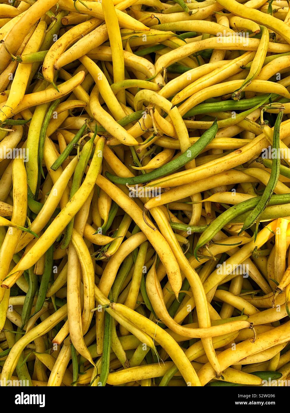 Many yellow string beans Stock Photo - Alamy