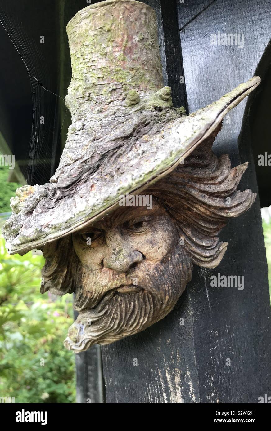 The wizard tree hi-res stock photography and images - Alamy
