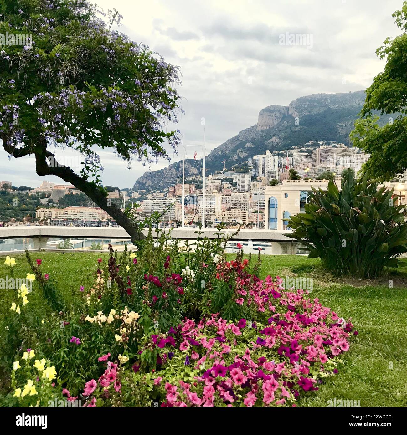 Purple flowers monte carlo monaco hi-res stock photography and images ...