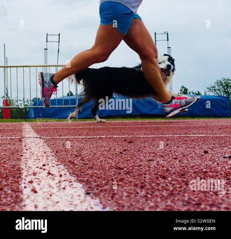 Sprint to finish line hi-res stock photography and images - Alamy