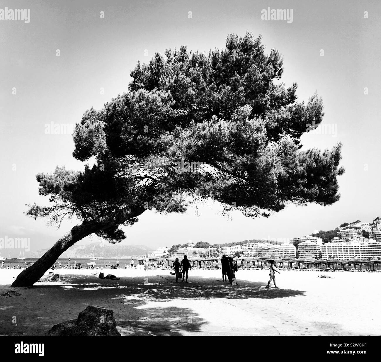 Majorca resort Black and White Stock Photos & Images - Alamy