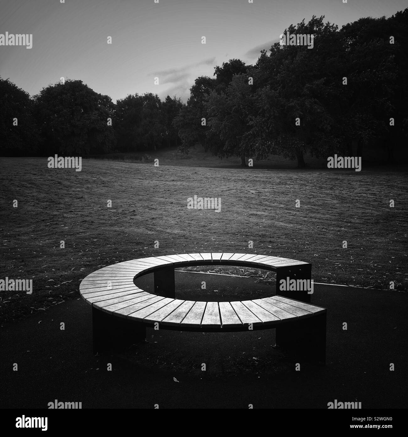 Modern seat in park b&w Stock Photo - Alamy