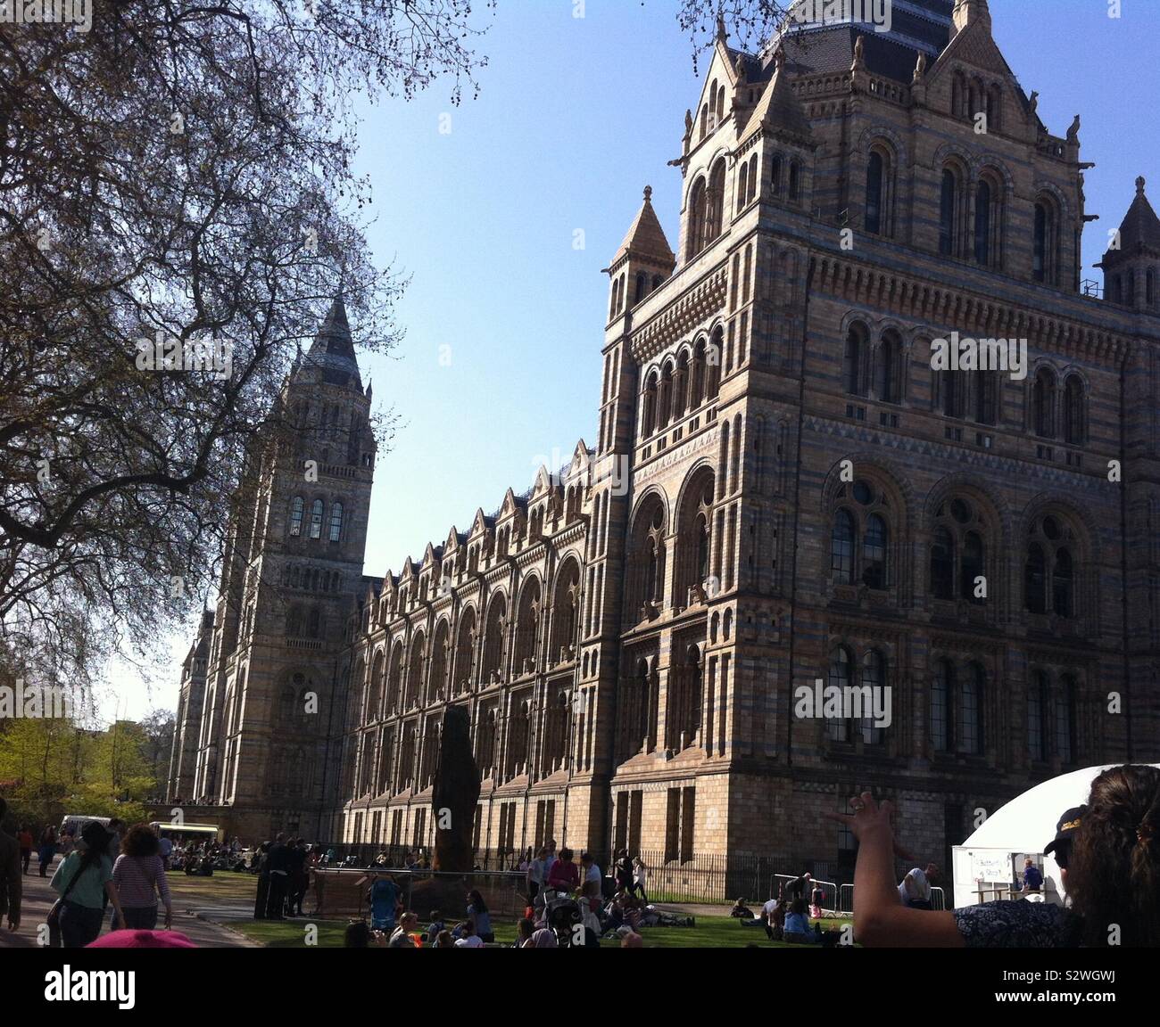 Outside the Natural History Museum, London Stock Photo - Alamy