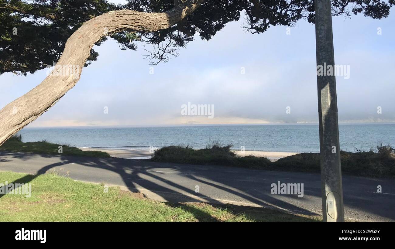 Opononi hi-res stock photography and images - Alamy