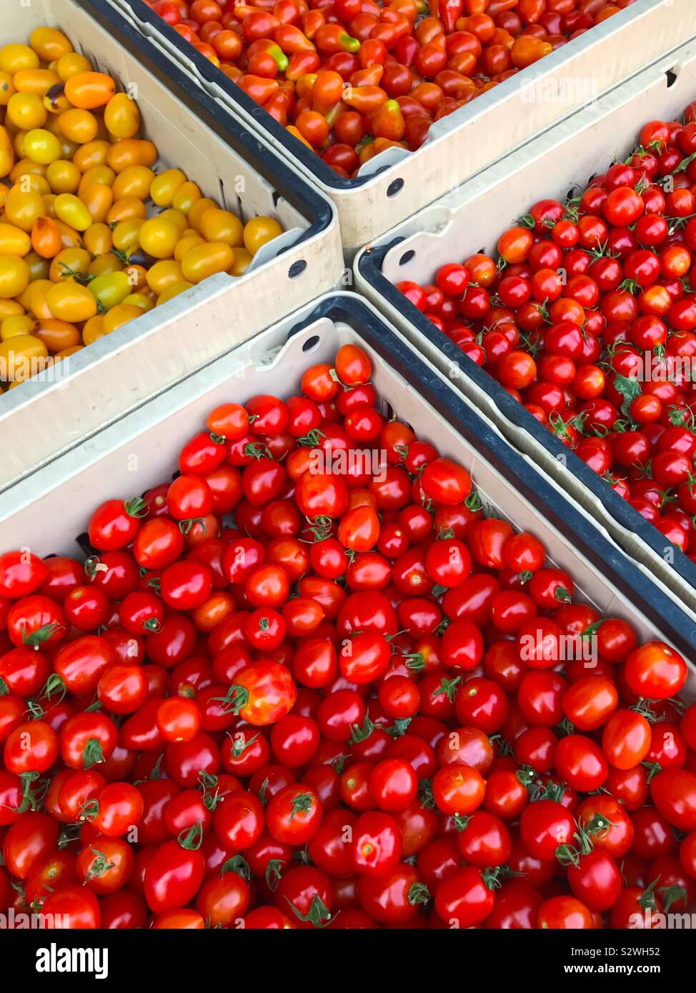 Red and yellow cherry tomatoes Stock Photo - Alamy