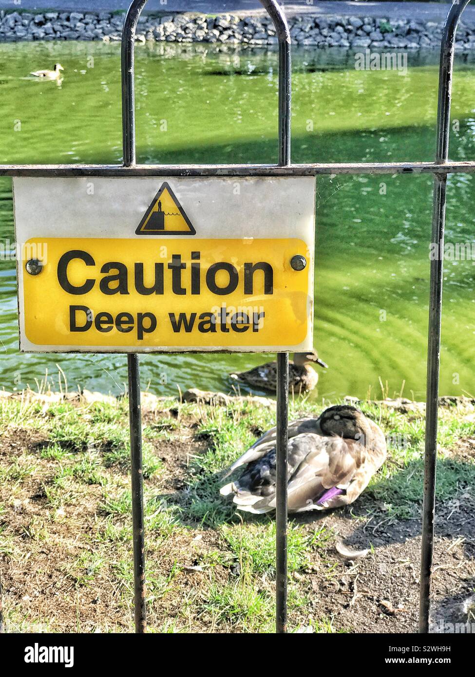 Deep water advisory sign with ducks Stock Photo - Alamy