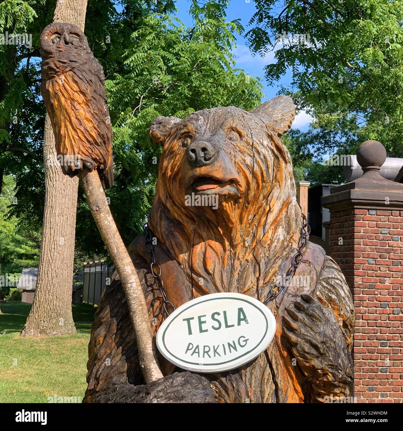Tesla parking bear, Blantyre, Lenox, Massachusetts, United States Stock ...