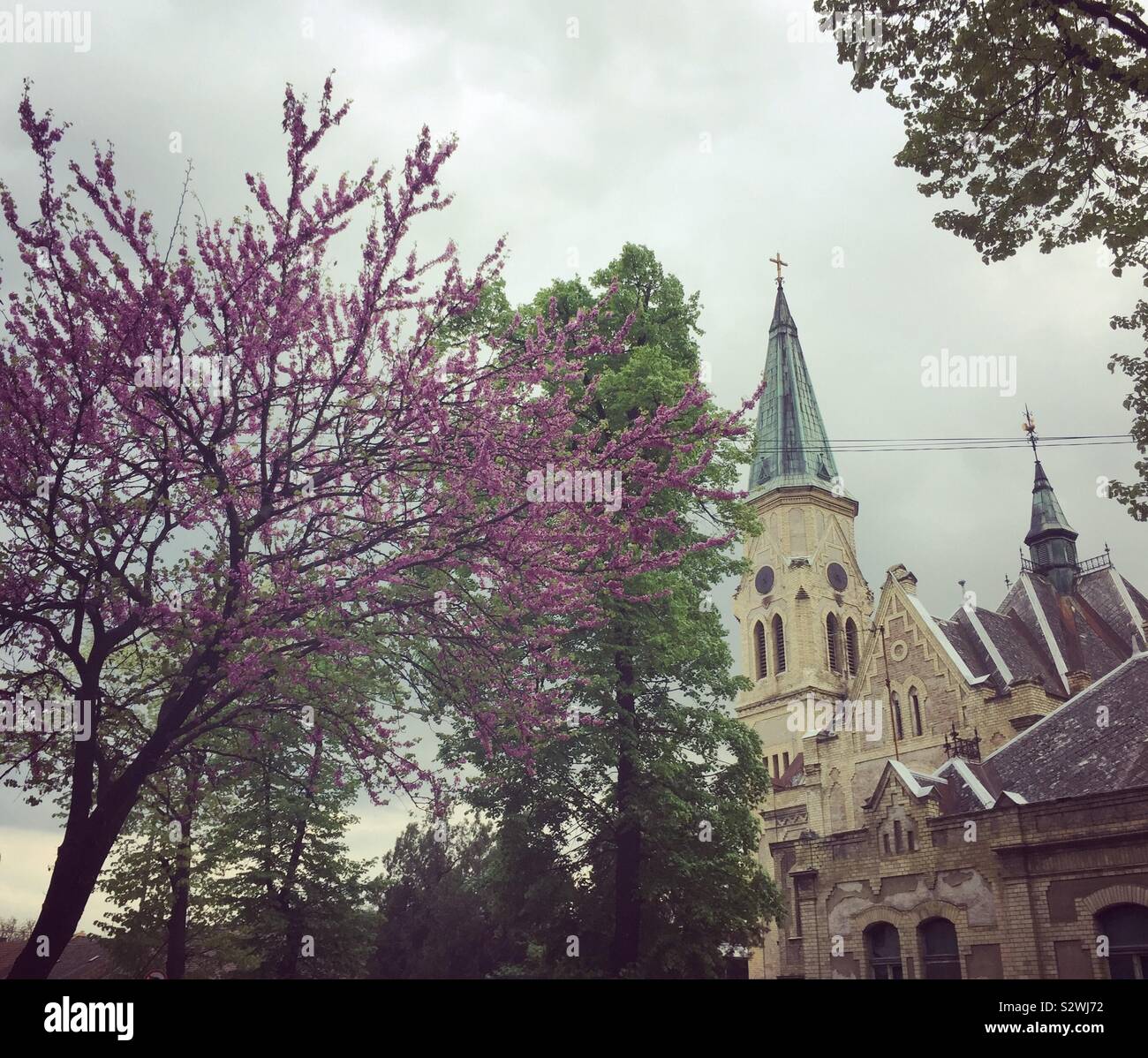 Pancevo city hi-res stock photography and images - Alamy