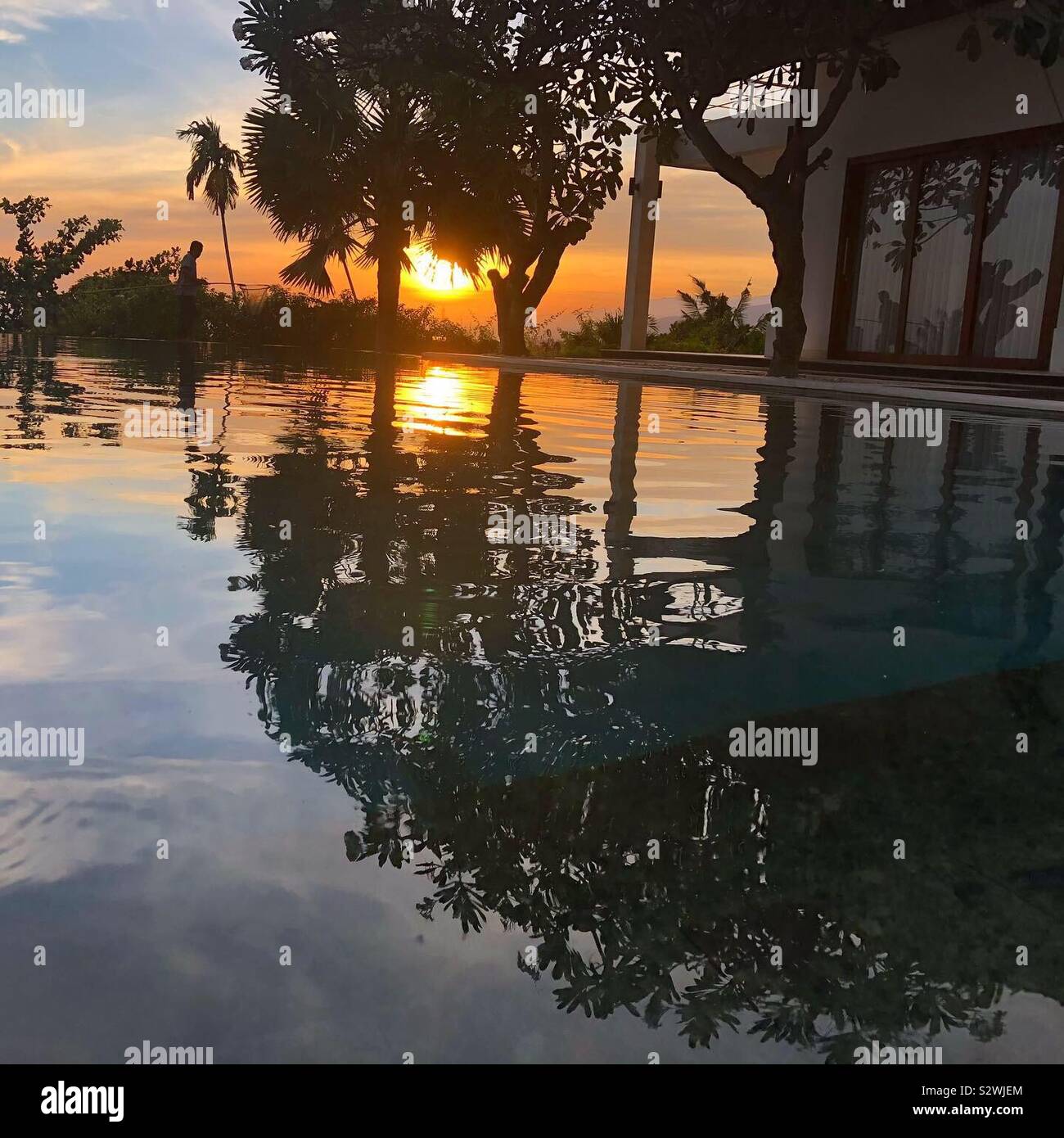 Palm trees reflection pool ripples hi-res stock photography and images ...