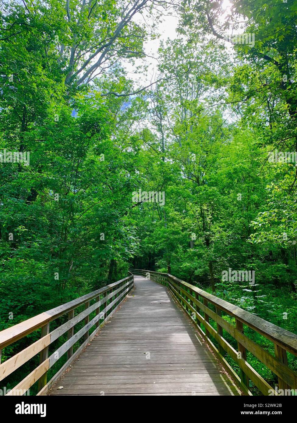Nature walk boardwalk hi-res stock photography and images - Alamy