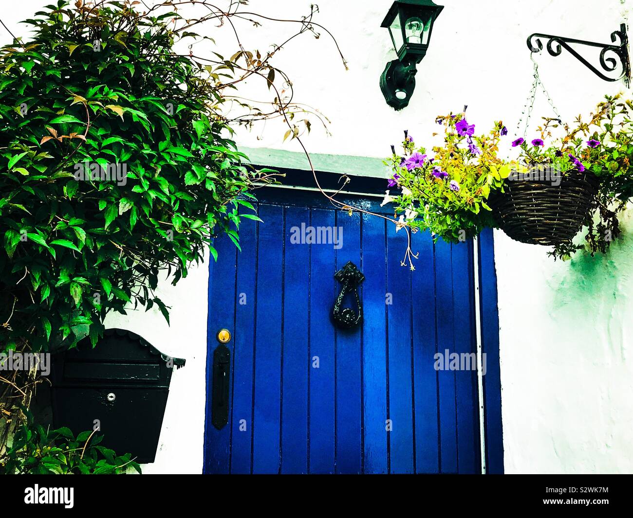 Hangingbasket hi-res stock photography and images - Alamy
