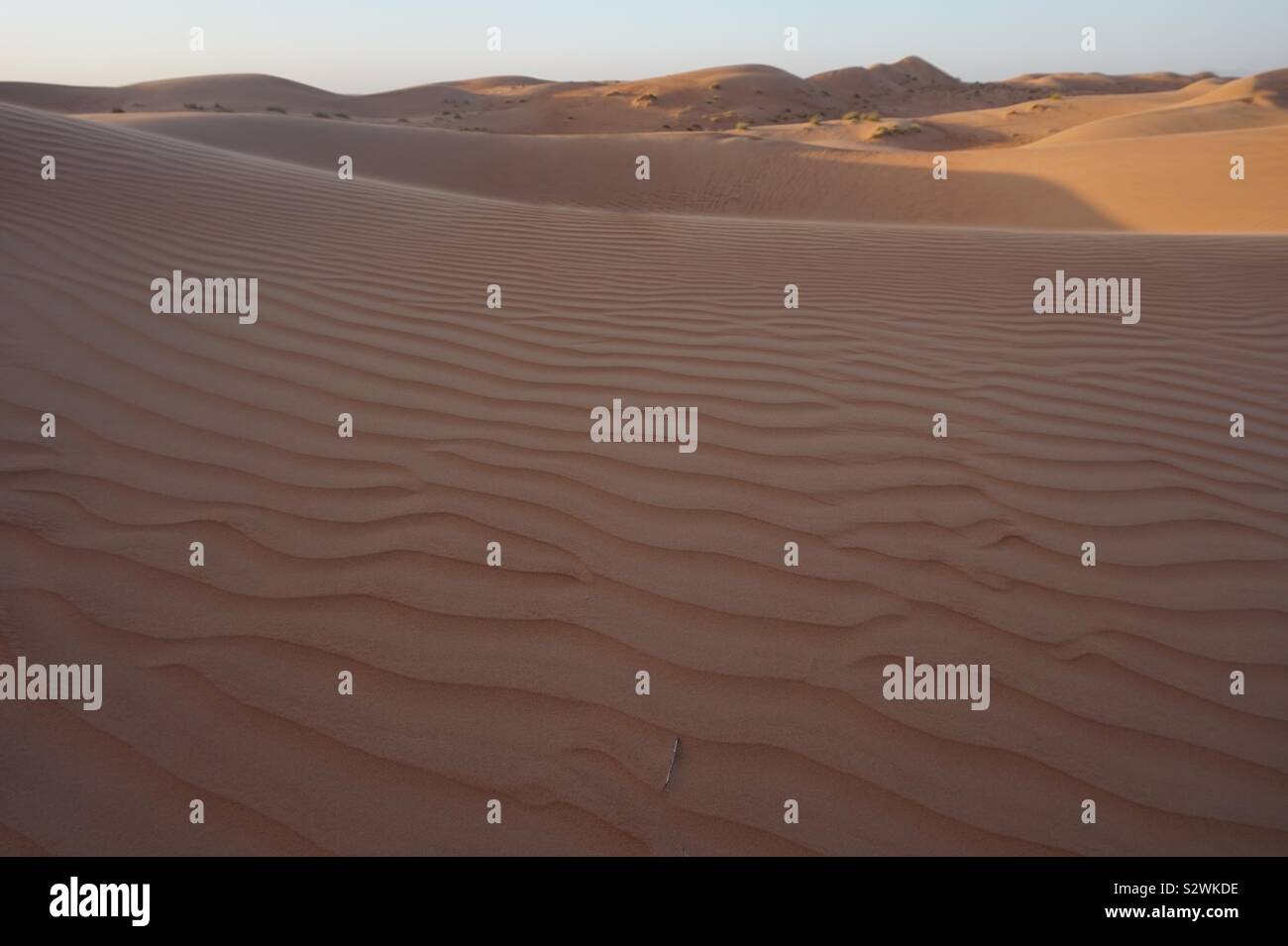 Ripple marks in desert hi-res stock photography and images - Alamy