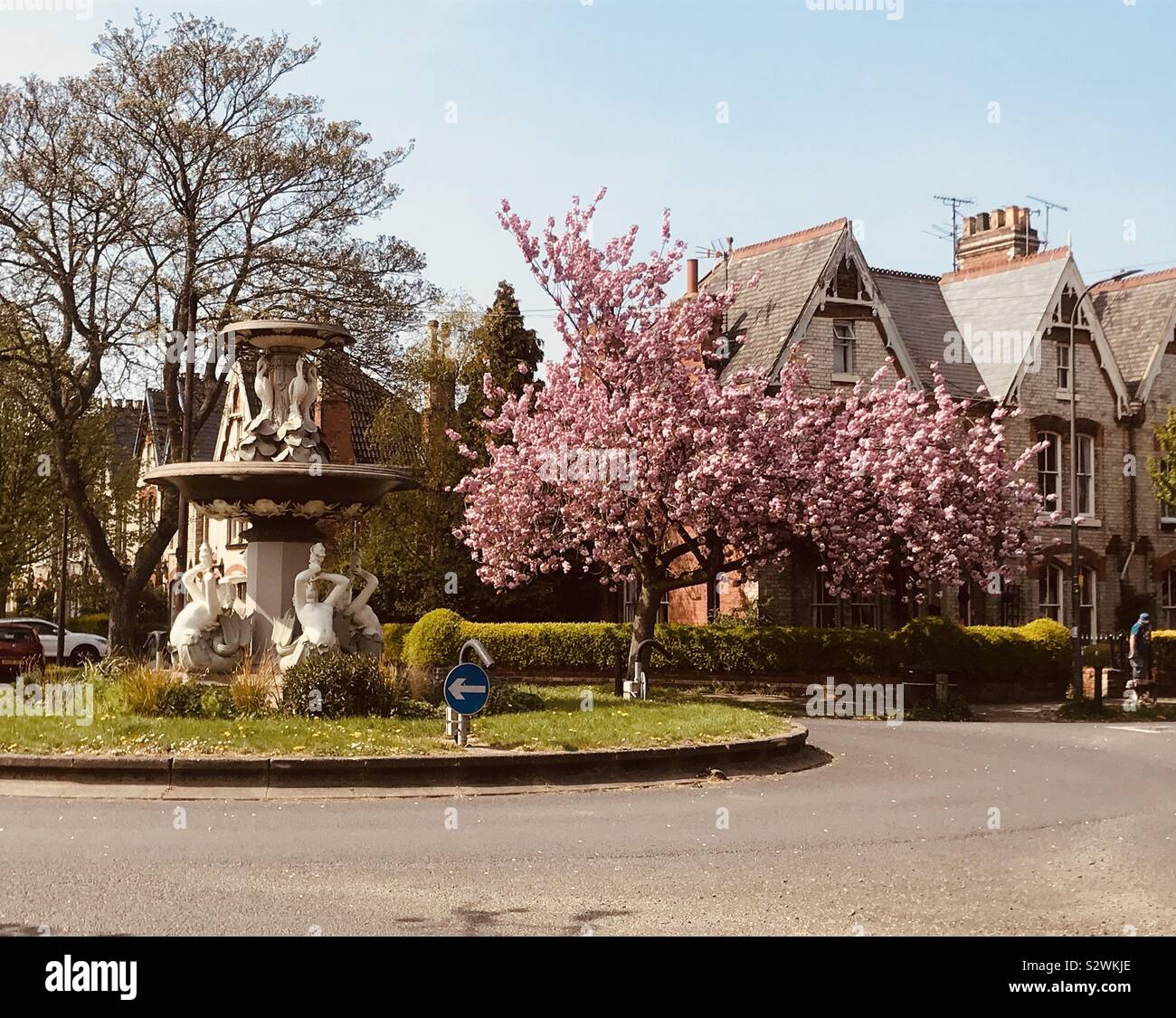 beautiful cherry blossom 🌸 Stock Photo - Alamy
