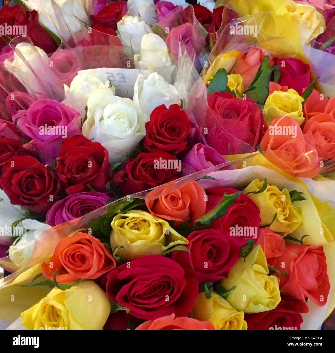 Roses on sale Stock Photo - Alamy