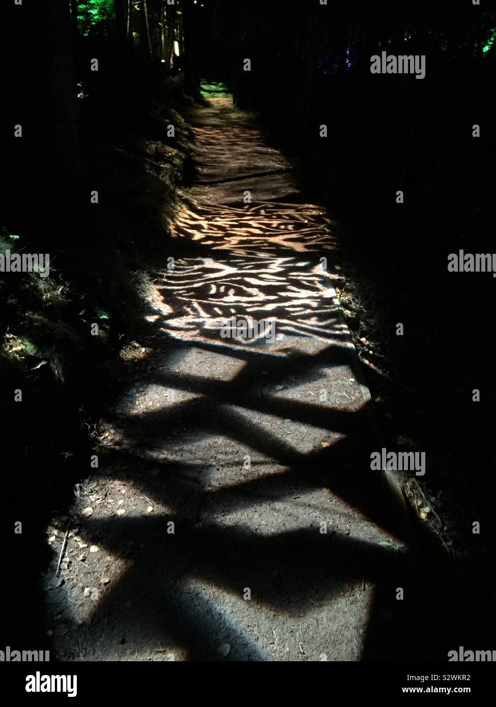 Illuminated Path High Resolution Stock Photography and Images - Alamy
