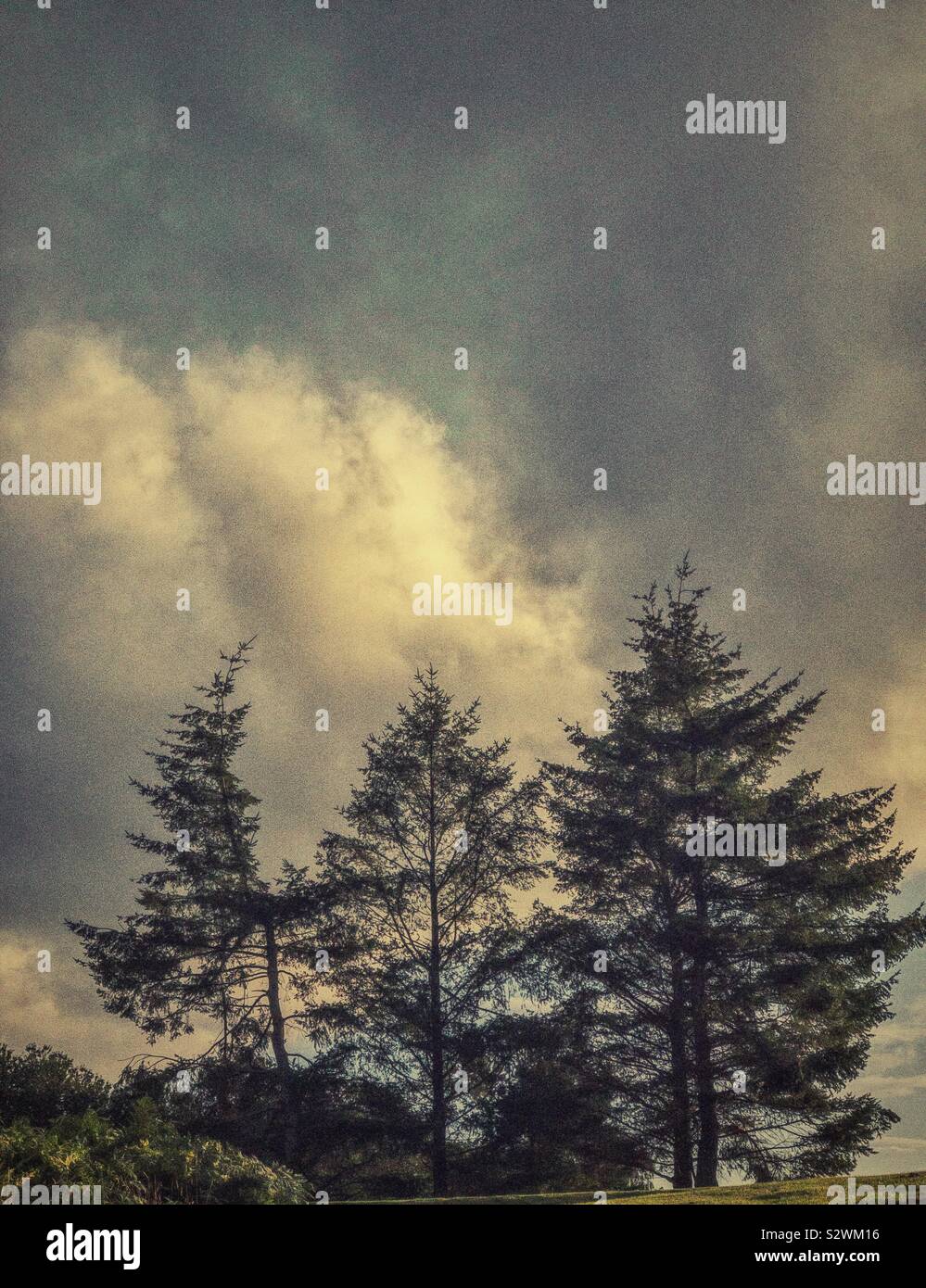 Cloud outline hi-res stock photography and images - Alamy