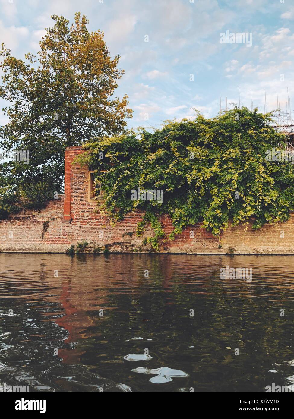 Overgrown Wall High Resolution Stock Photography and Images - Alamy
