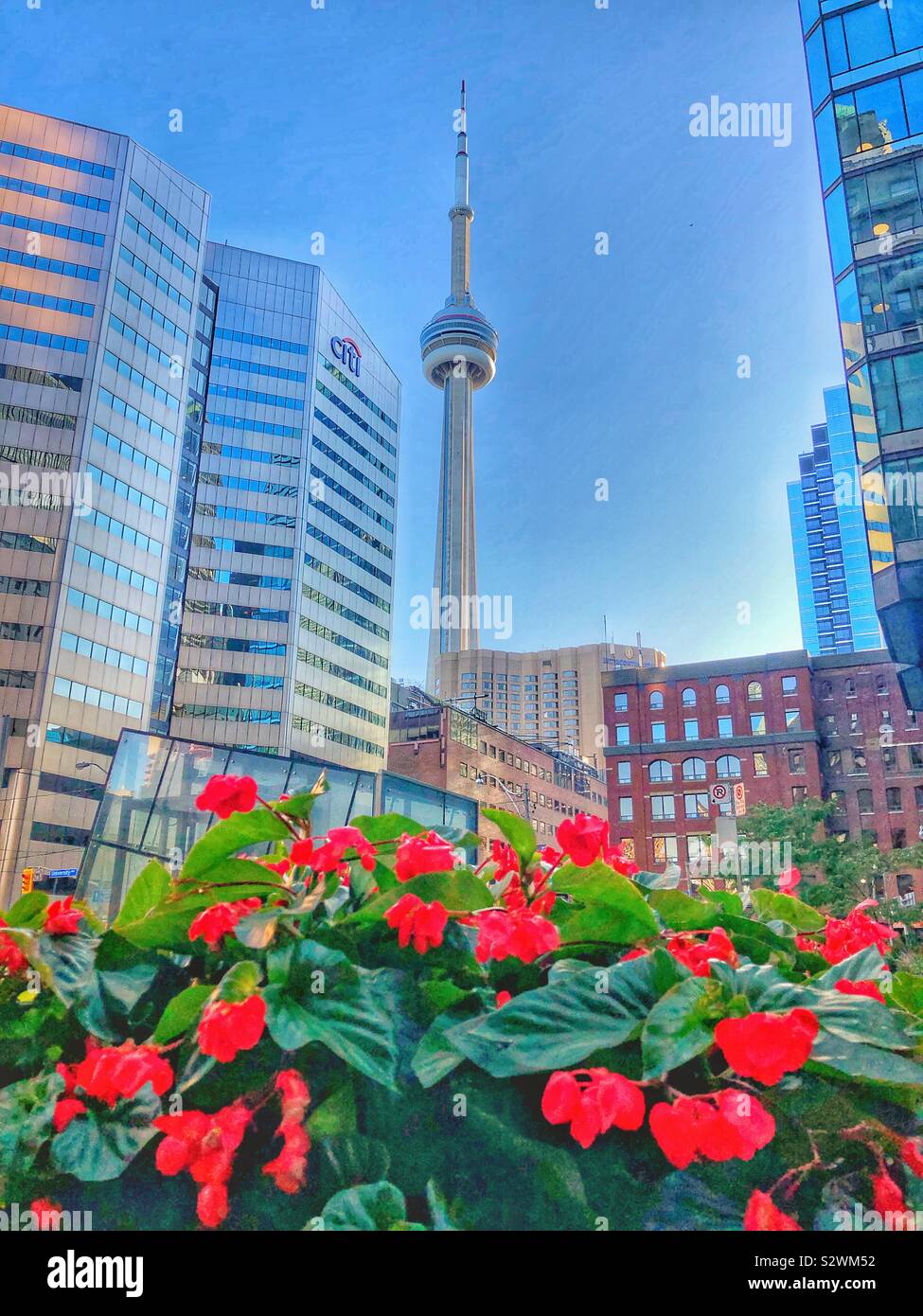 A view of the iconic CN Tower in downtown Toronto, Canada Stock Photo - Alamy
