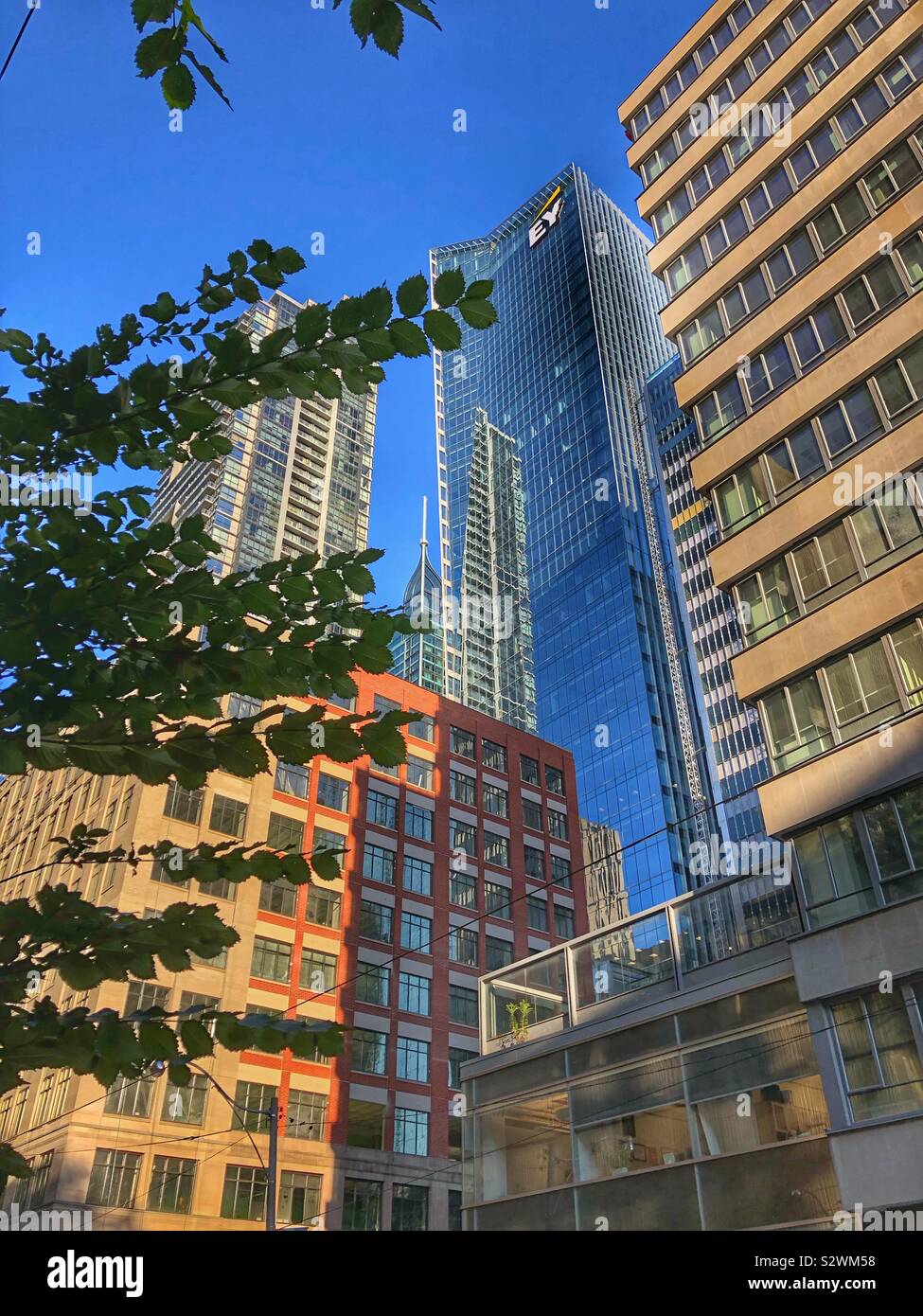 Modern architecture in downtown Toronto, Canada Stock Photo - Alamy