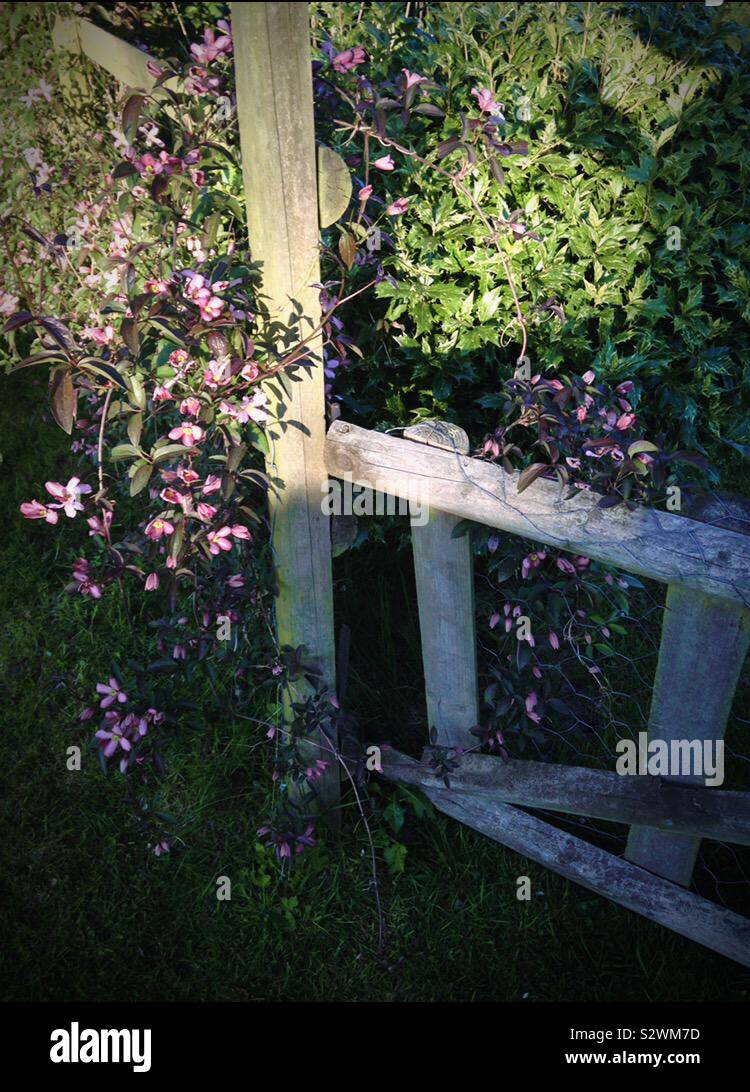 The old gate Stock Photo - Alamy