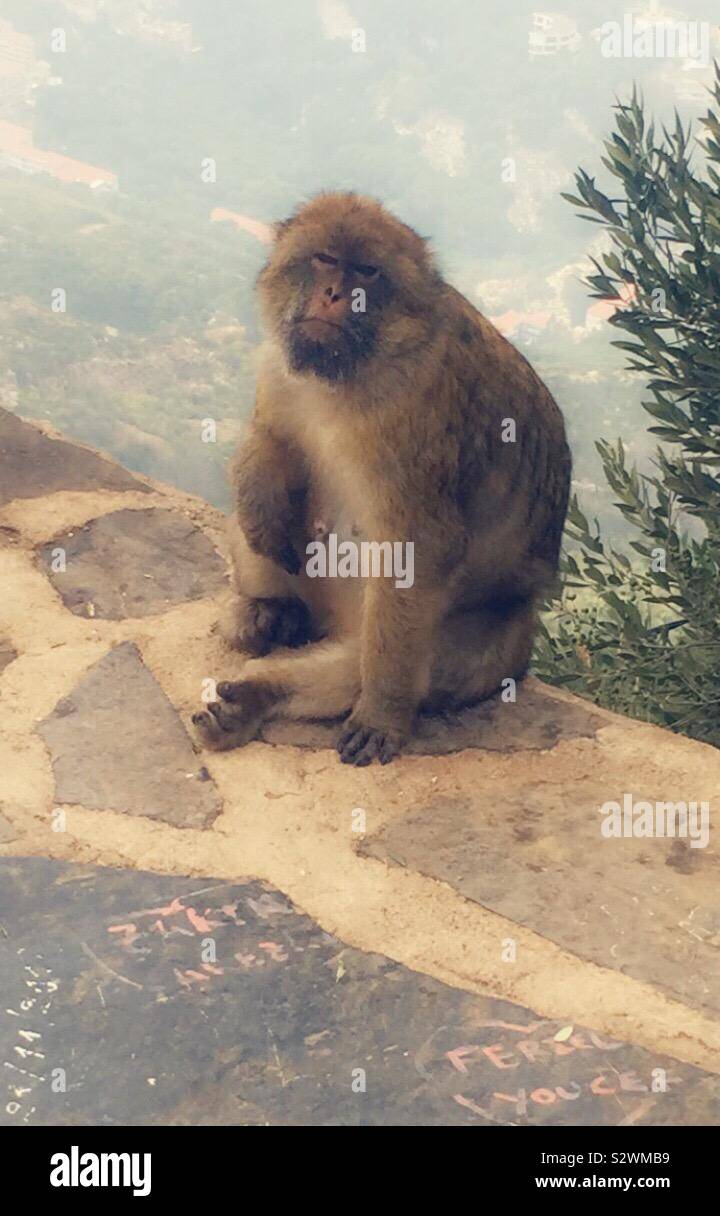 Bejaïa hi-res stock photography and images - Alamy