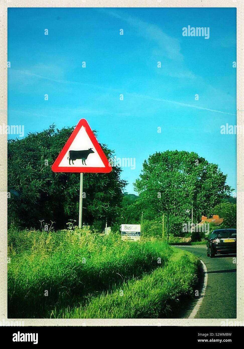 Animal cow road sign hi-res stock photography and images - Alamy
