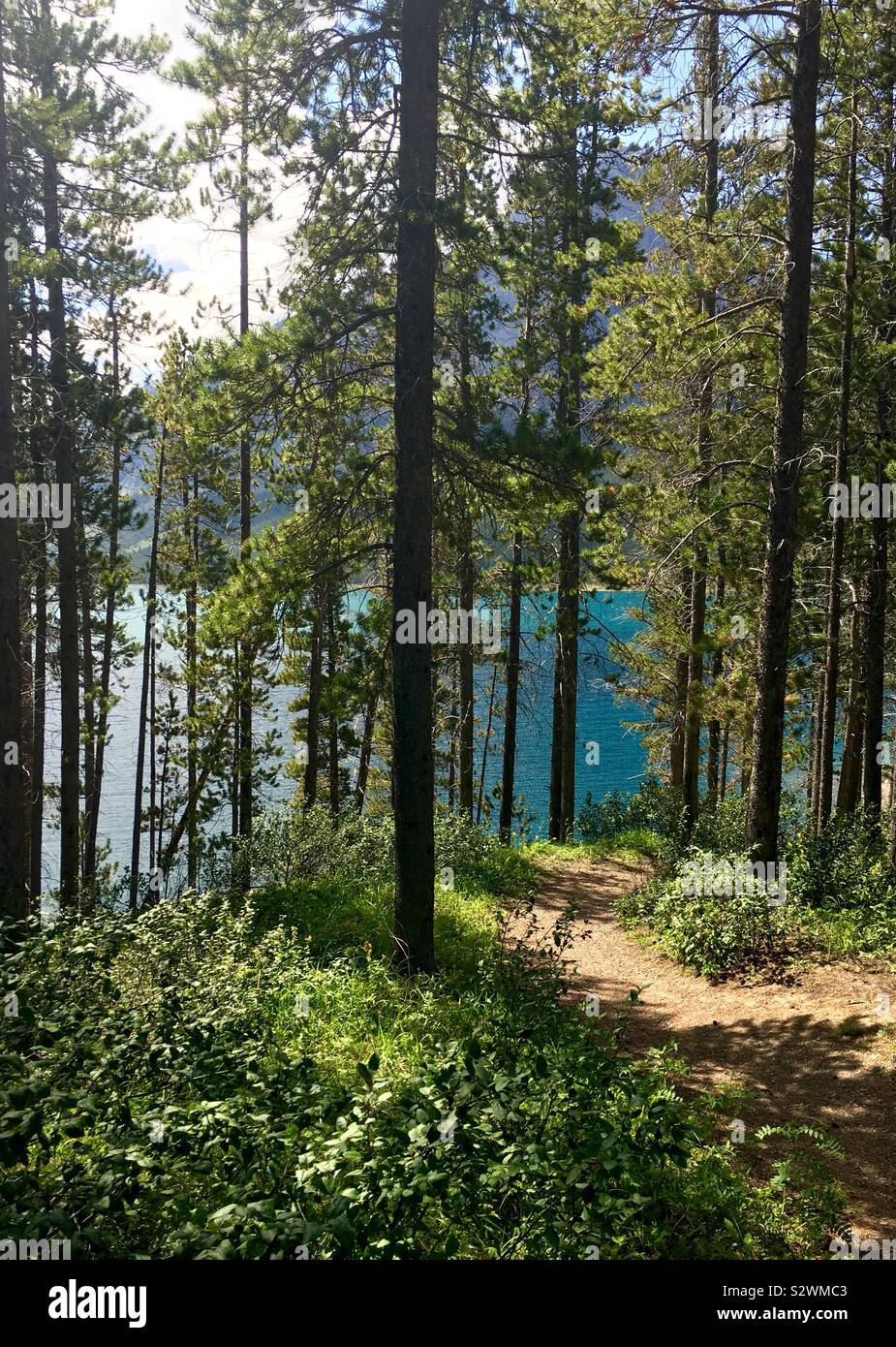 Peaceful look hi-res stock photography and images - Alamy