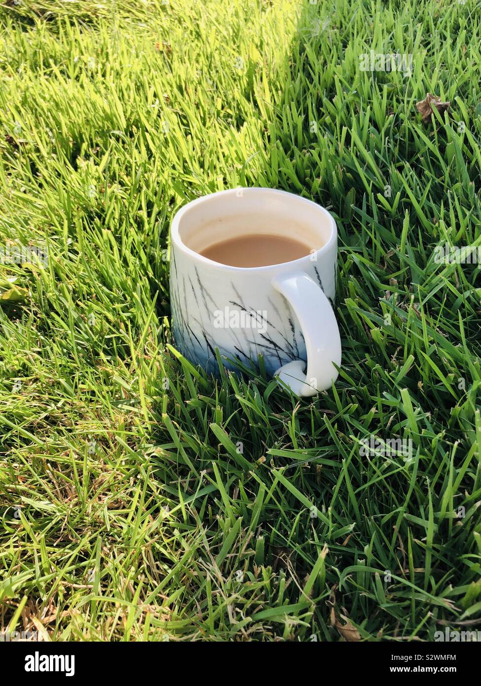 Grass tea hi-res stock photography and images - Alamy