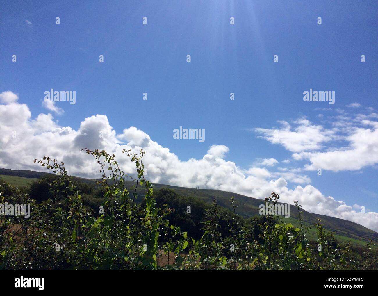 Gorgeous blue sky above fields Stock Photo - Alamy