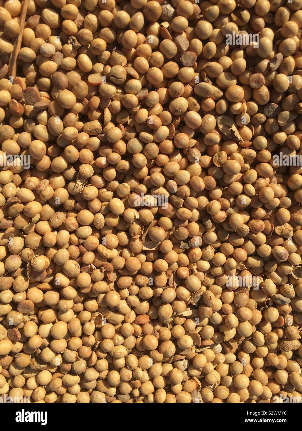 Bulk soybeans hi-res stock photography and images - Alamy