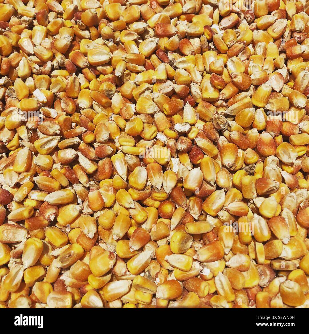 Corn commodity hi-res stock photography and images - Alamy