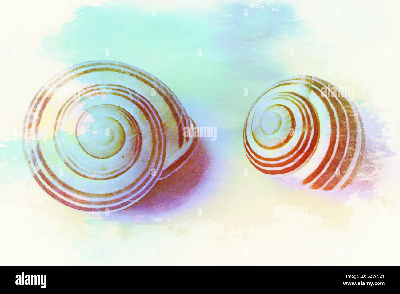 Spiral patterns hi-res stock photography and images - Alamy