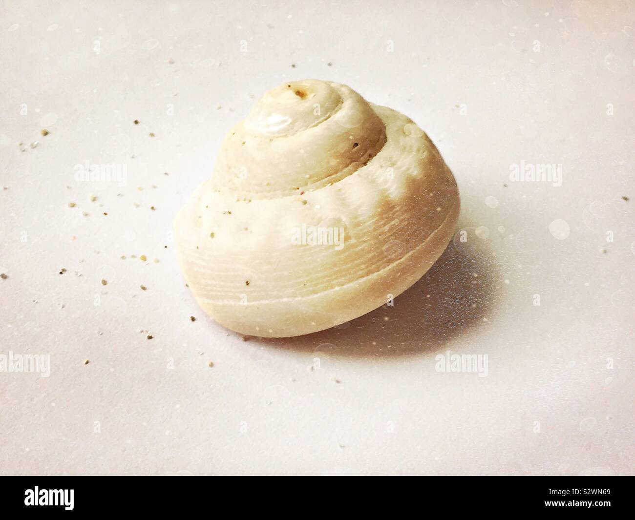 Spiral shape hi-res stock photography and images - Alamy