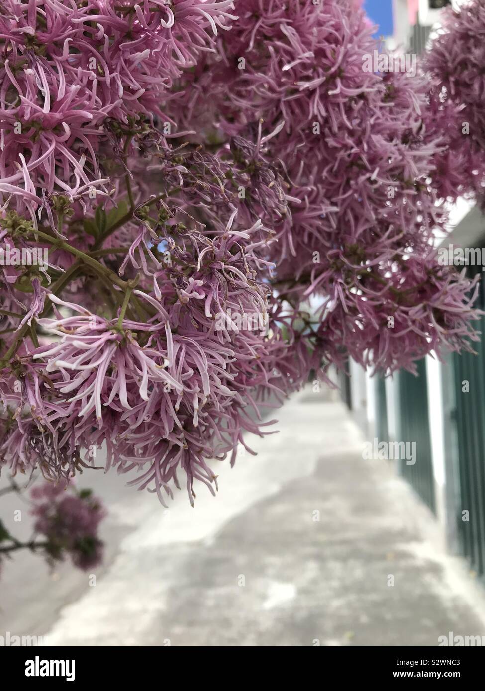 Parh High Resolution Stock Photography and Images - Alamy