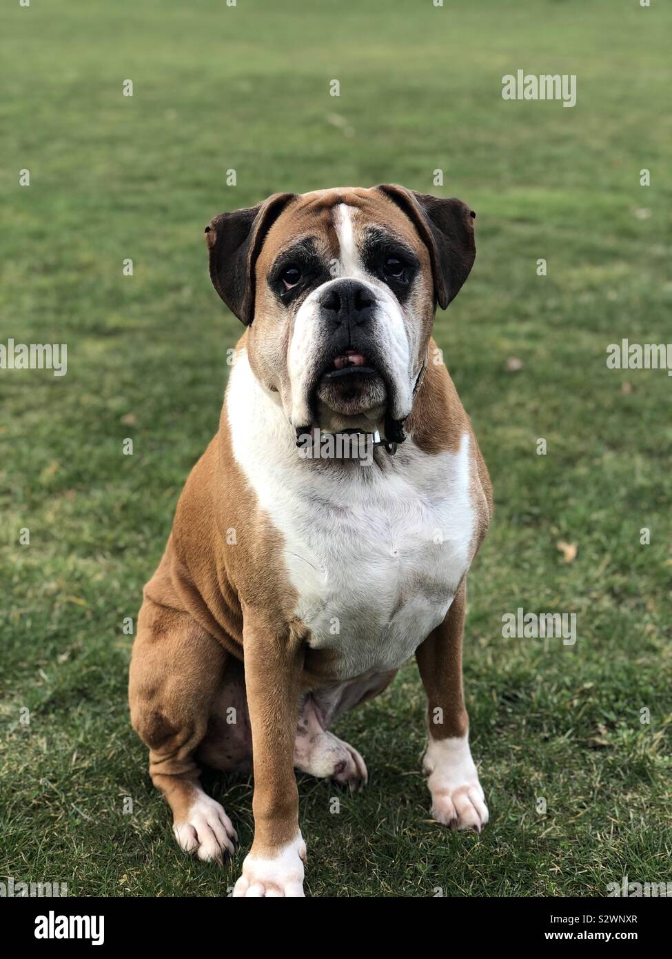 Benjamin hercules hi-res stock photography and images - Alamy