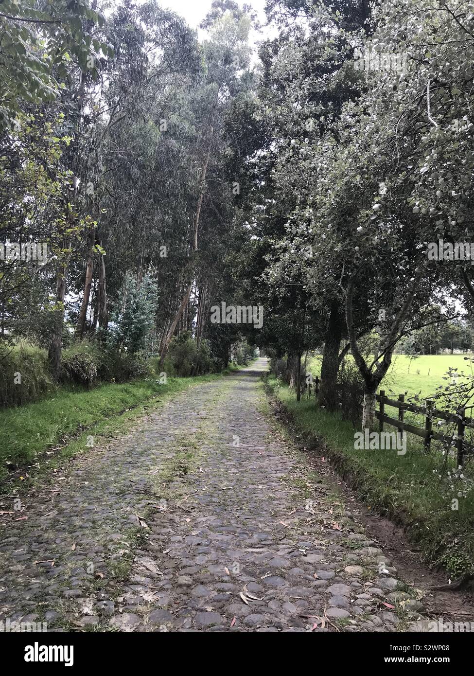 Road of rocks Stock Photo - Alamy