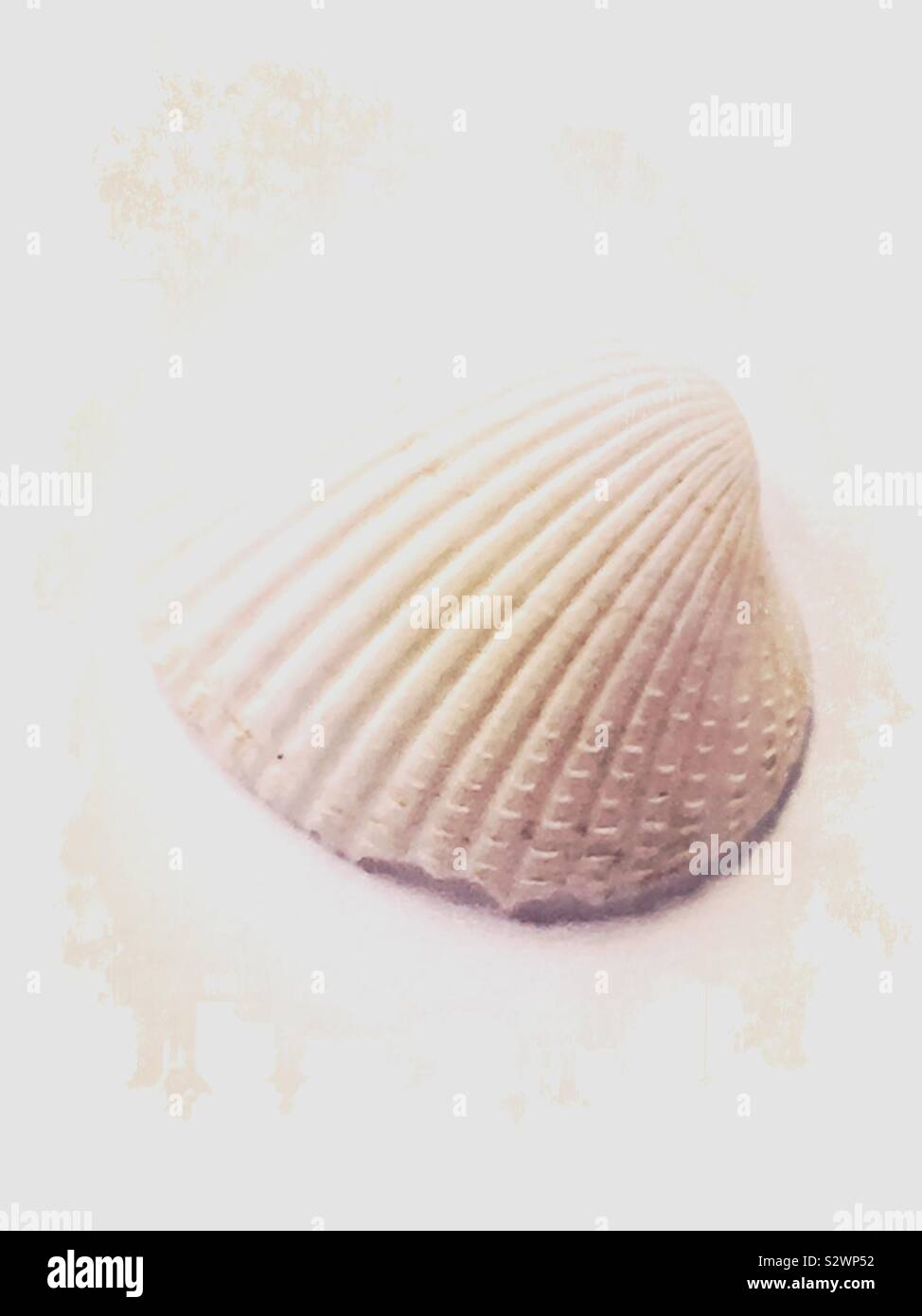 It warms the cockles of my heart hi-res stock photography and images ...