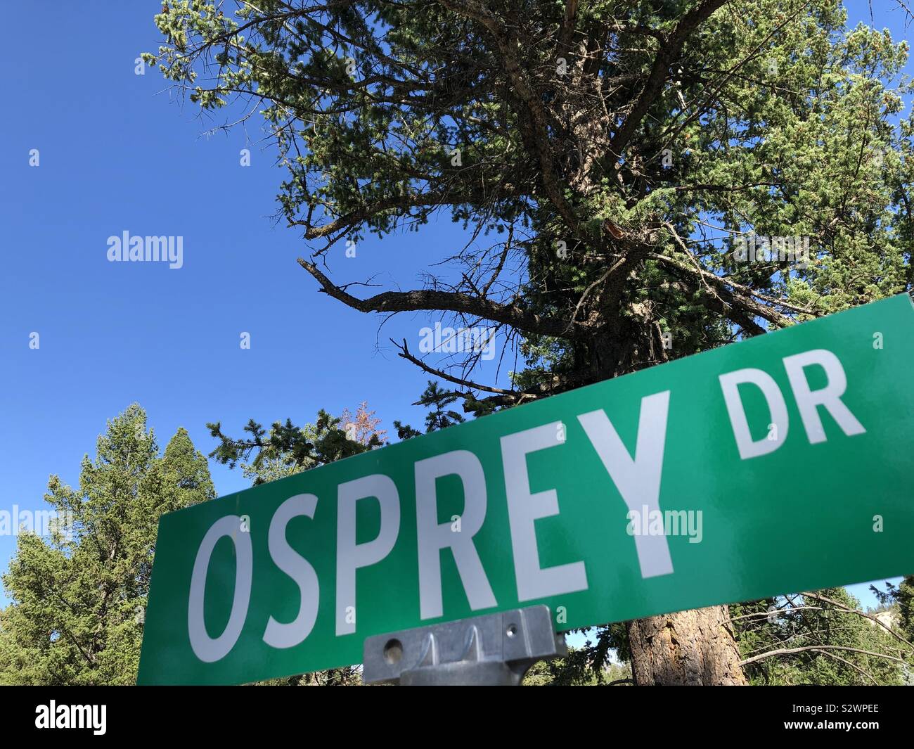 Osprey Road Sign Stock Photo - Alamy