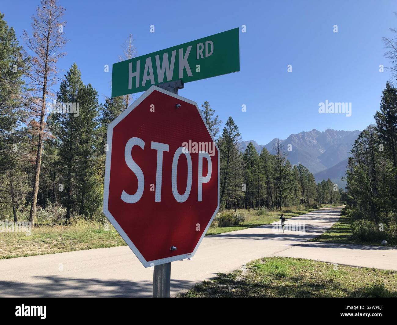 Hawk Road Sign Stock Photo - Alamy