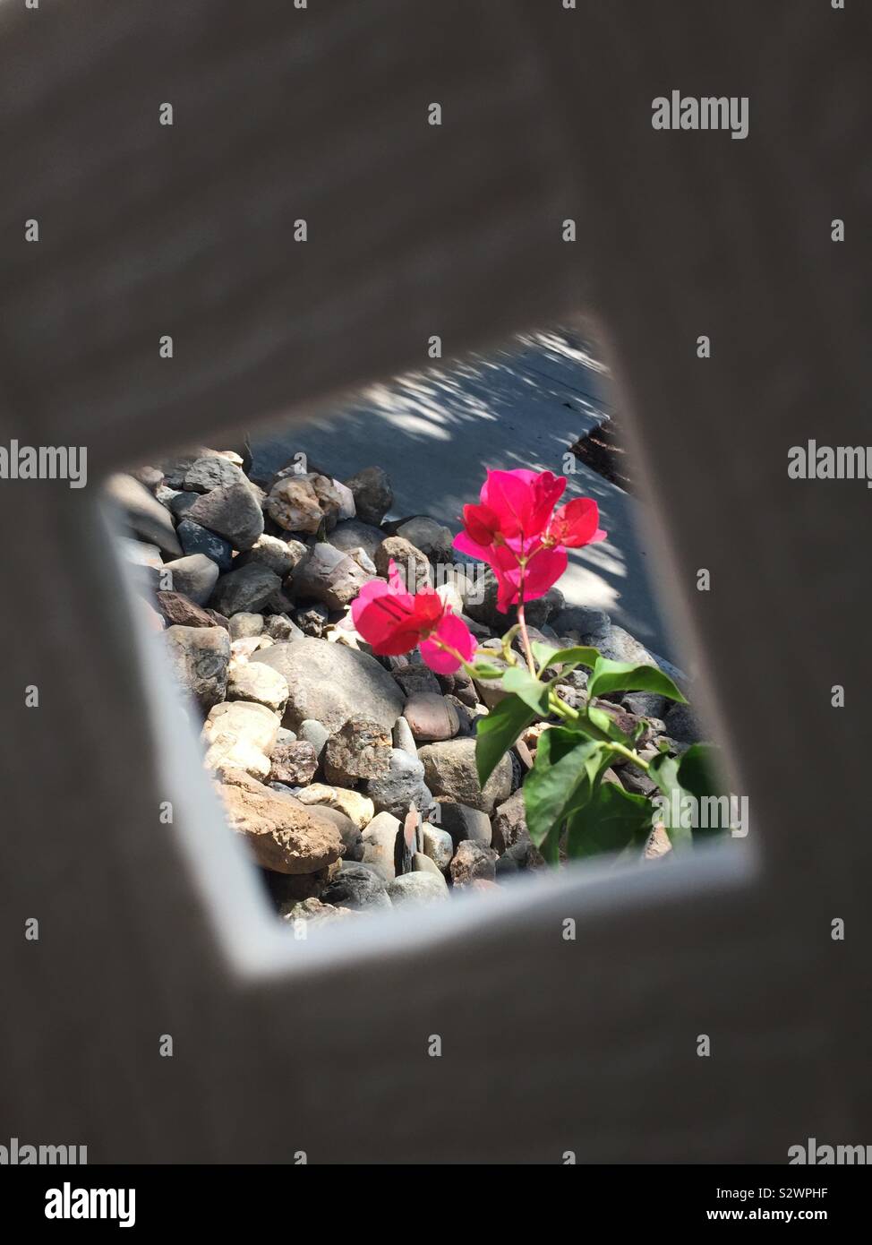 Fence perspective hi-res stock photography and images - Alamy