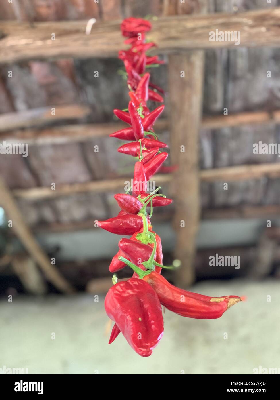 Chilies drying hi-res stock photography and images - Alamy
